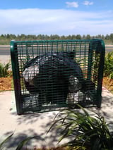 Backflow Cages Designed to Protect Devices from Theft and Vandalism